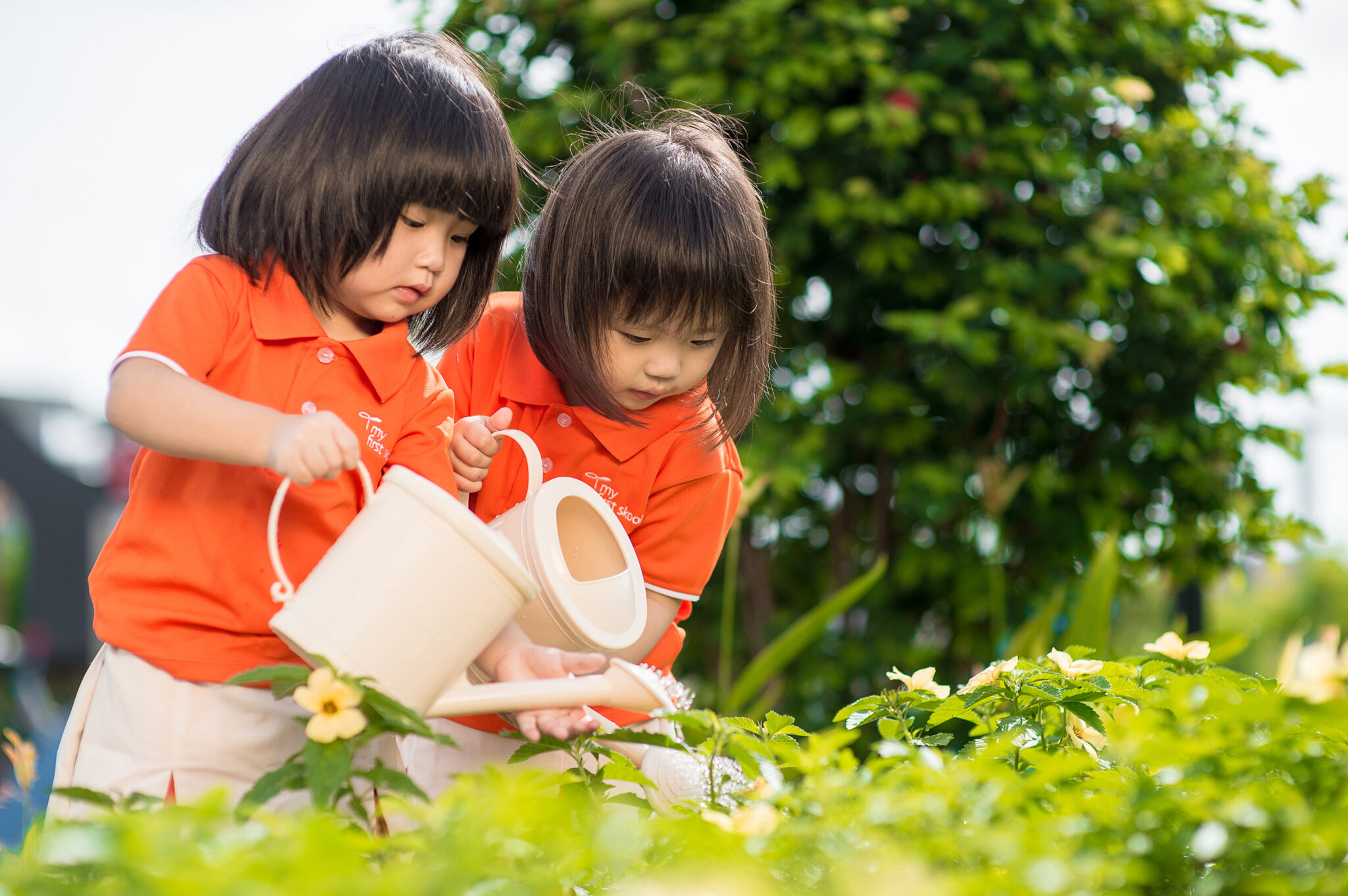 Childcare | NTUC First Campus