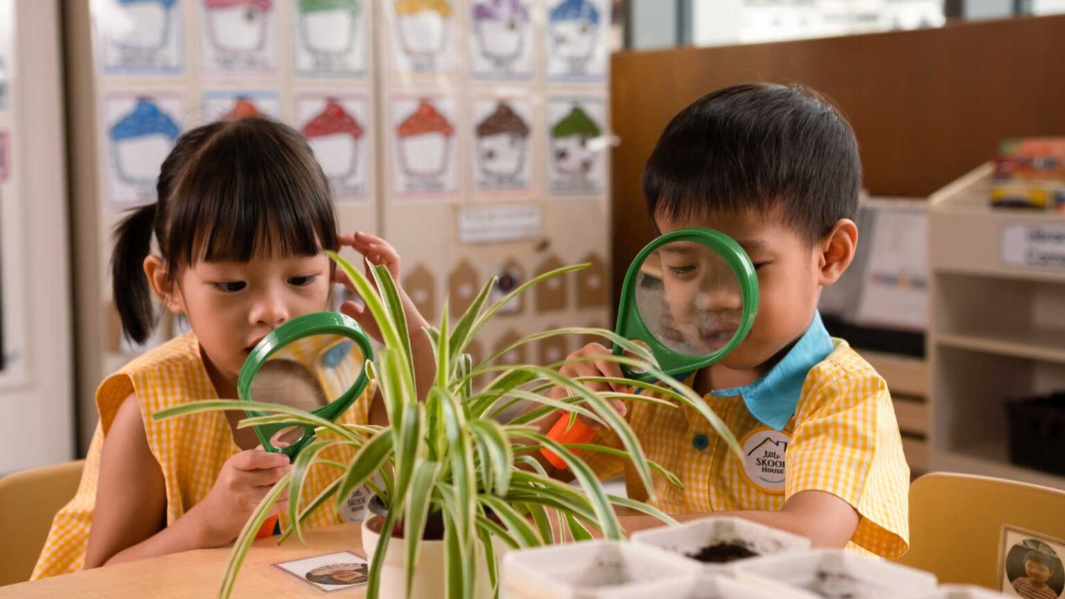 Little Skool-House sows seeds of sustainability in its children | NTUC ...