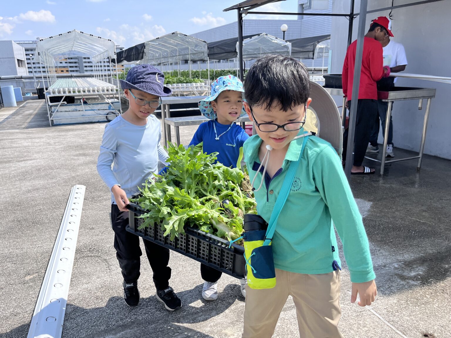 Preschools foster environmental awareness in children through both ...