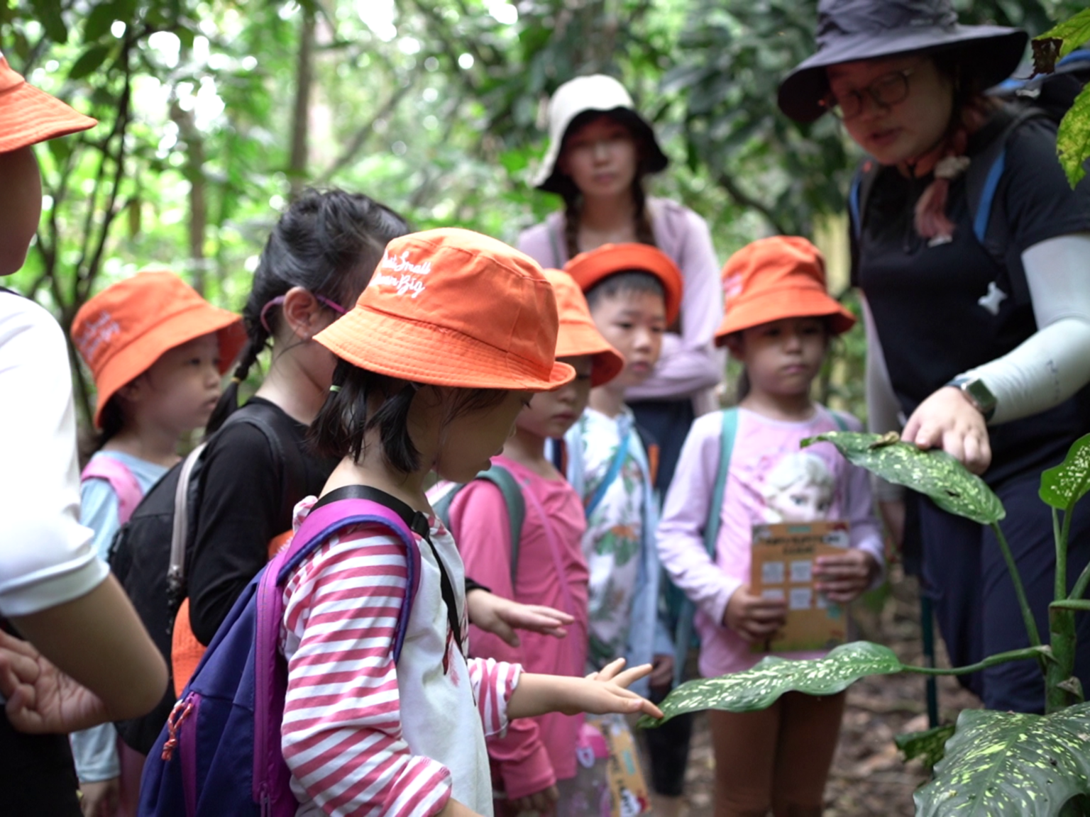 Top 5 Educational Field Trips For Children In Singapore | NTUC First Campus
